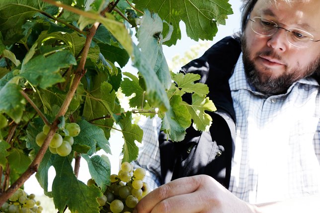 Weingut Ott - SONNENTOR.com