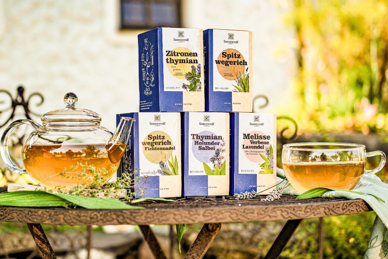 Hochwertigen Bio Tee online kaufen - SONNENTOR.com