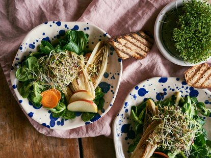 Die besten Rezepte mit selbstgezogenen Sprossen! - SONNENTOR.com