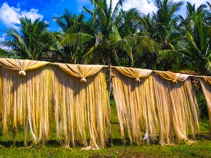 Abaka – šup s ní do kompostu! - SONNENTOR.com