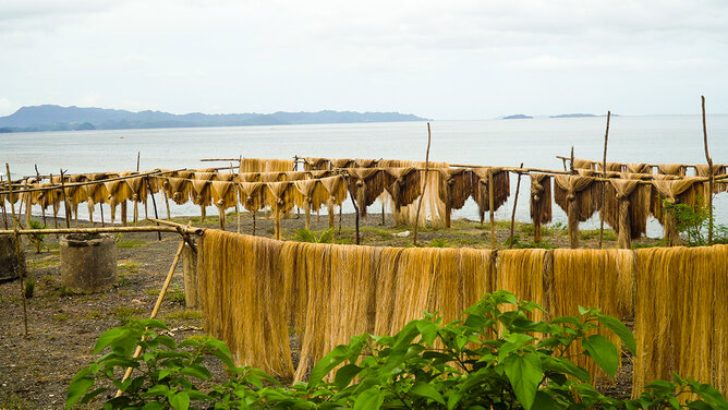 Abaka – šup s ní do kompostu! - SONNENTOR.com