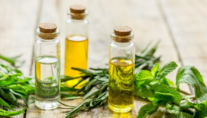 Kräutertinkturen selber machen - SONNENTOR.com